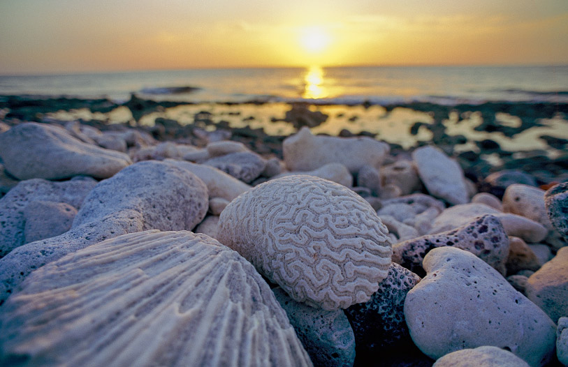 Cayman Islands Official Tourism Website | Welcome to the Cayman Islands