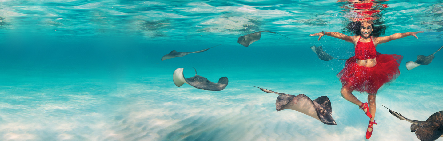 Cayman Islands Official Tourism Website | Welcome to the Cayman Islands