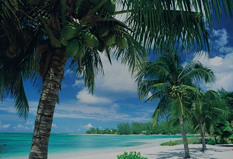 About Cayman - From the Cayman Islands Department of Tourism